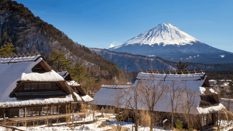Tokyo: Mt. Fuji Hidden Gems and Aokigahara Forest Tour - Narusawa Ice Cave: Geological Wonder