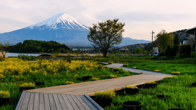 Tokyo: Mt. Fuji Hidden Gems and Aokigahara Forest Tour - Fugaku Wind Cave: Subterranean Experience