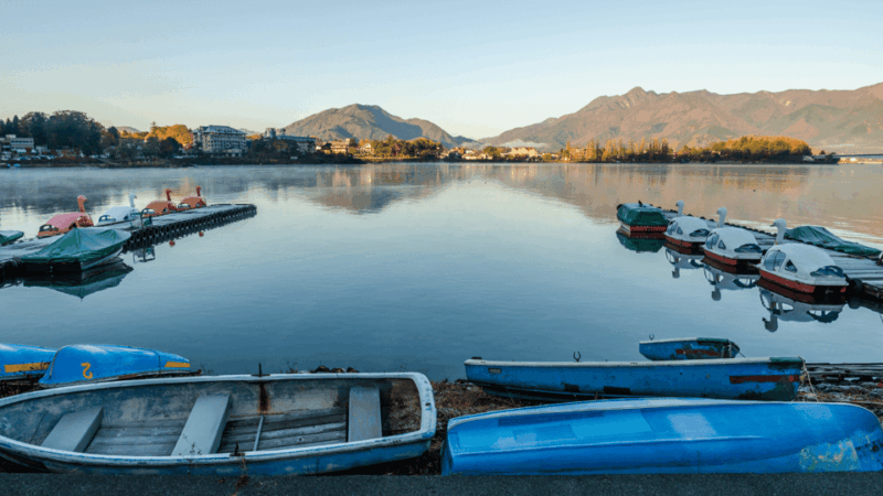 Tokyo: Mt. Fuji Hidden Gems and Aokigahara Forest Tour - Tour Logistics and Practical Information