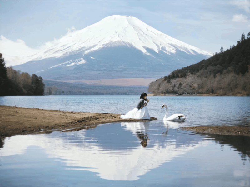 Tokyo: Mt. Fuji & Lake Kawaguchi Instagram Full Day Trip - Transportation and Guide Information