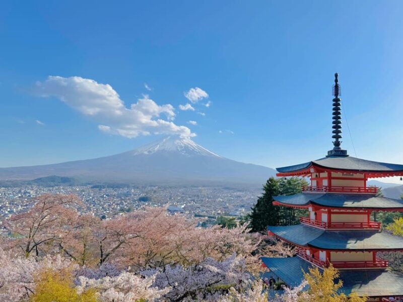 Tokyo: Mt. Fuji & Lake Kawaguchi Instagram Full Day Trip - What to See and Do