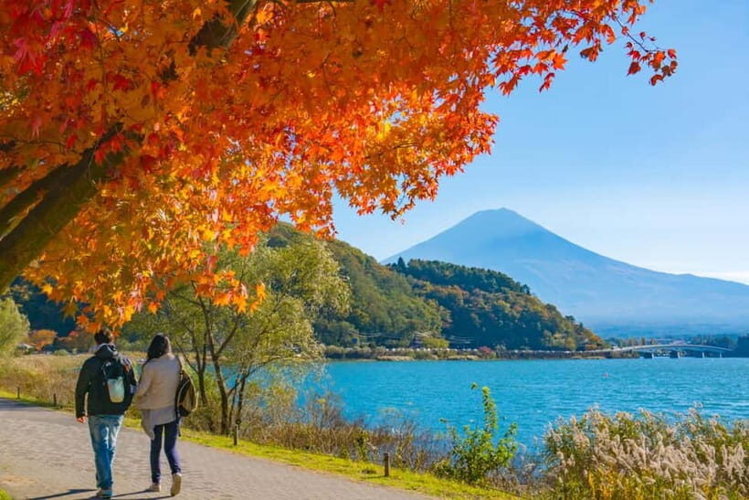 Tokyo: Mt. Fuji, Lake Kawaguchiko Tour without Lunch - Exploring Mt. Fuji and Lake Kawaguchiko: A Practical, Authentic Day Trip