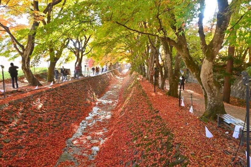 Tokyo: Mt. Fuji, Lake Kawaguchiko Tour without Lunch - The Transport and Guide Experience