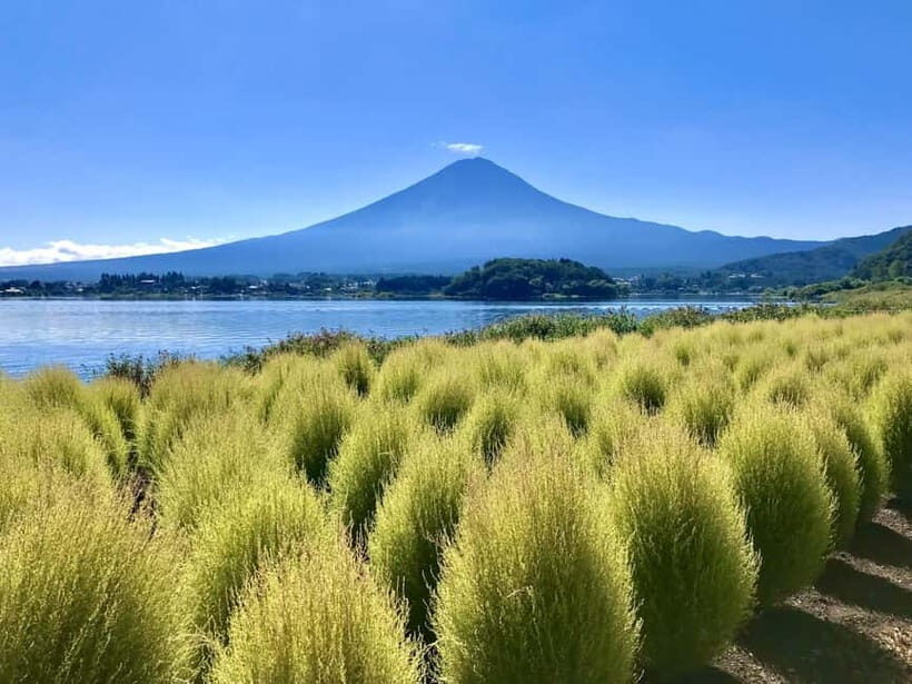 Tokyo: Mt. Fuji, Lake Kawaguchiko Tour without Lunch - Who Will Love This Tour?