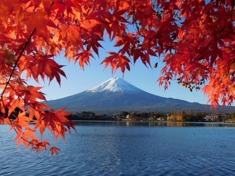 Tokyo: Mt. Fuji, LakeKawaguchiko, Pagoda, & Oishi Park Tour - Key Points