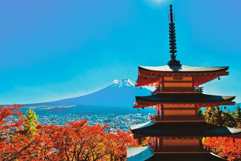 Tokyo: Mt. Fuji, LakeKawaguchiko, Pagoda, & Oishi Park Tour - Who Should Book This Tour?