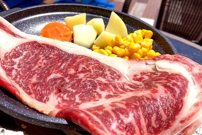 Tokyo: Mt. Fuji, Oshino Hakkai and Gotemba Outlets 1Day Bus Tour - Important Information