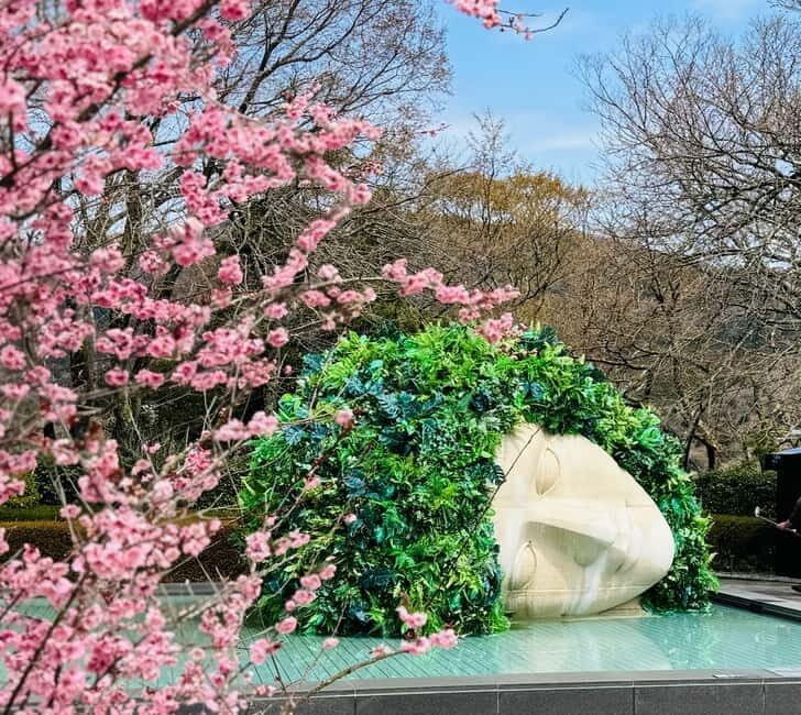 Tokyo: Mt. Fuji, Owakudani, Hakone Shrine, & Open-Air Museum - An In-Depth Look at the Tour Experience