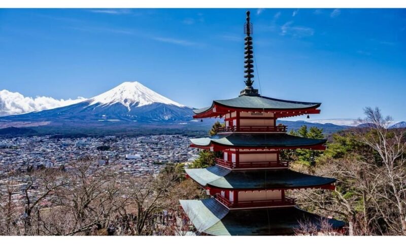 Tokyo: Mt Fuji Private Day Tour With English-Speaking Driver - Kitaguchi-hongu Fuji Sengen Shrine