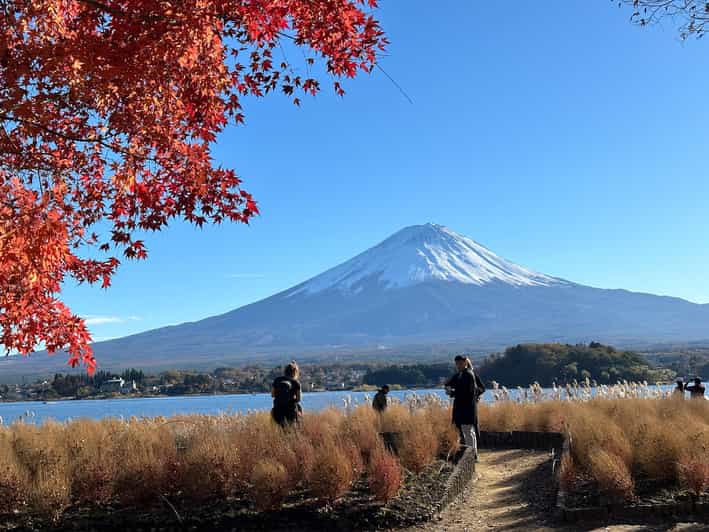 Tokyo: Mt.Fuji Private Day Trip With English Speaking Driver - Key Points