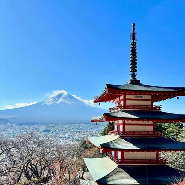 Tokyo: Mt. Fuji Private Day Trip with Local Japanese Guide - Key Points