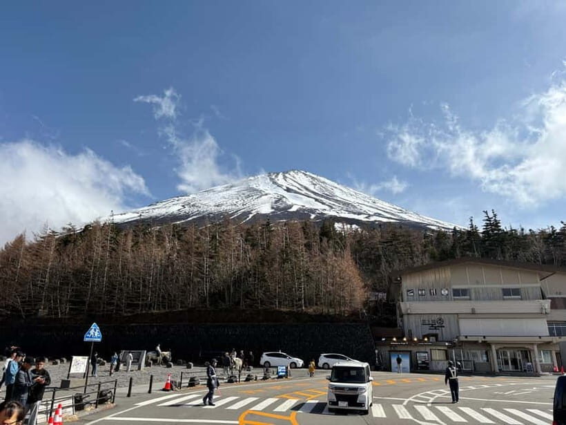 Tokyo: Mt. Fuji Private Day Trip with Local Japanese Guide - Who Should Consider This Tour?
