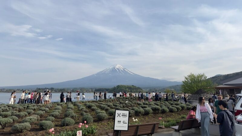 Tokyo: Mt. Fuji Private Tour With Kawaguchi Lake - Itinerary