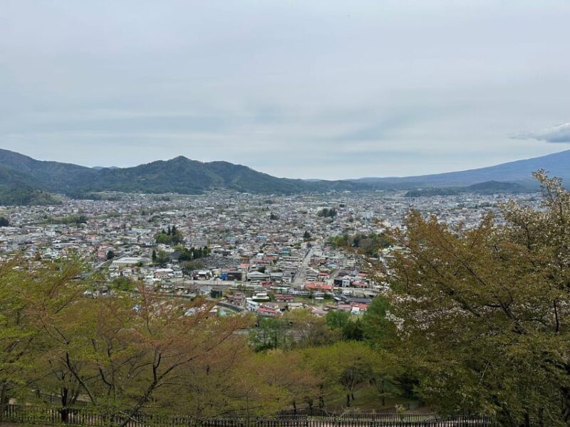 Tokyo: Mt. Fuji Private Tour With Kawaguchi Lake - Inclusions