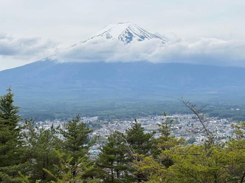 Tokyo: Mt. Fuji Private Tour With Kawaguchi Lake - Pickup Information