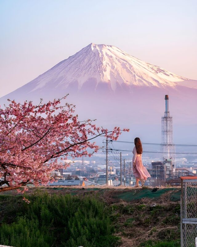 Tokyo: Mt.Fuji Sightseeing Tour With English Speaking Guide - What to Bring