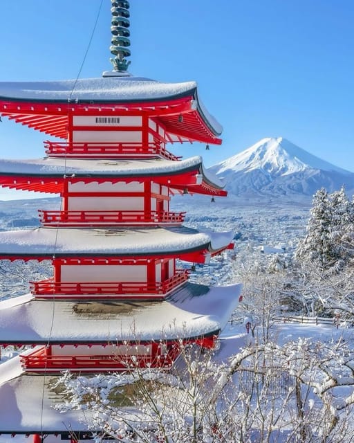 Tokyo: Mt.Fuji Sightseeing Tour With English Speaking Guide - Customizable Experience