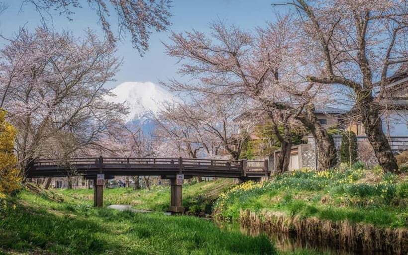 Tokyo: Mt. Fuji Summer Trip 5th Station & Lake Kawaguchi - FAQ
