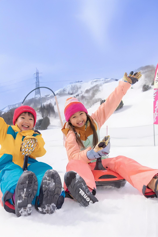 Tokyo: Mt Fujiyama Yeti Resort and Onzen Day Trip W/Pickup - Key Points