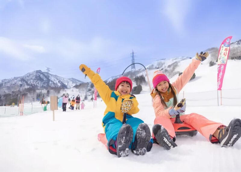 Tokyo: Mt Fujiyama Yeti Resort and Onzen Day Trip W/Pickup - Itinerary and Activities