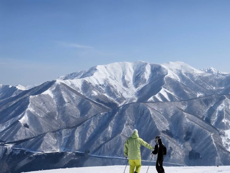 Tokyo: Mt Fujiyama Yeti Resort and Onzen Day Trip W/Pickup - Important Information and Guidelines