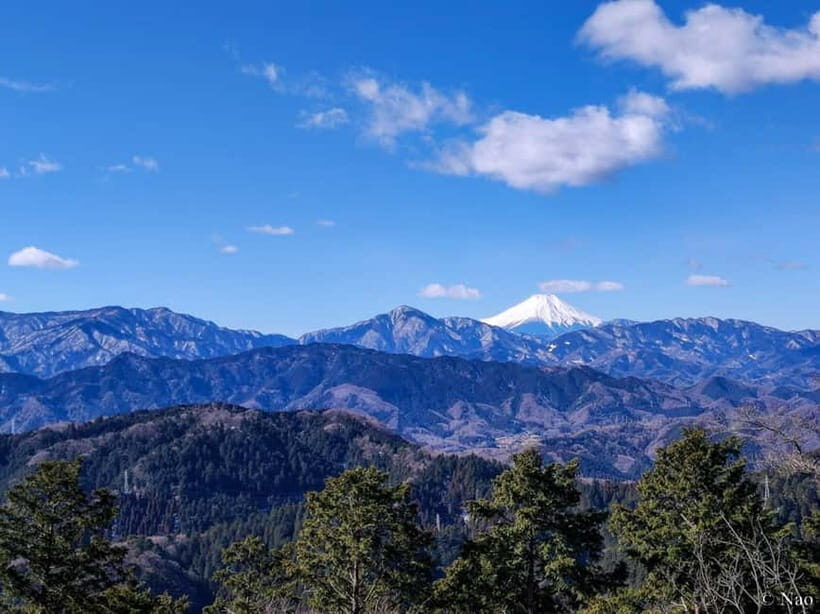 Tokyo: Mt. Takao Nature & Culture Hike with Private Guide - An In-Depth Look at the Mt. Takao Private Hike