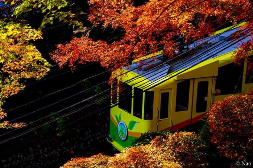Tokyo: Mt. Takao Nature & Culture Hike with Private Guide - Who Will Love This Experience?