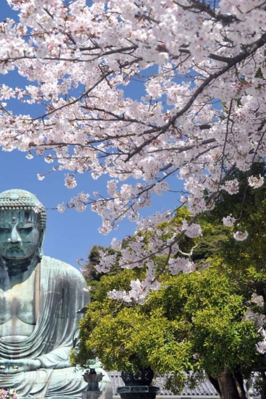 Tokyo Nagano Snow Monkey Park and Zenkoji Temple With Guide - Getting There