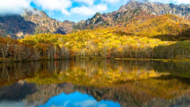 Tokyo: Nagano Tour With Snow Monkey Park & Zenko-Ji Temple - Key Points