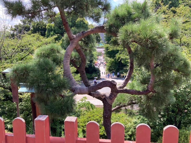 Tokyo: National Museum & Ukiyo-e History Guided Tour in Ueno - Customer Reviews