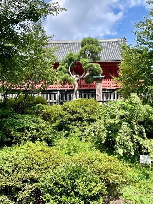 Tokyo: National Museum & Ukiyoe History Private Tour in Ueno - The Sum Up