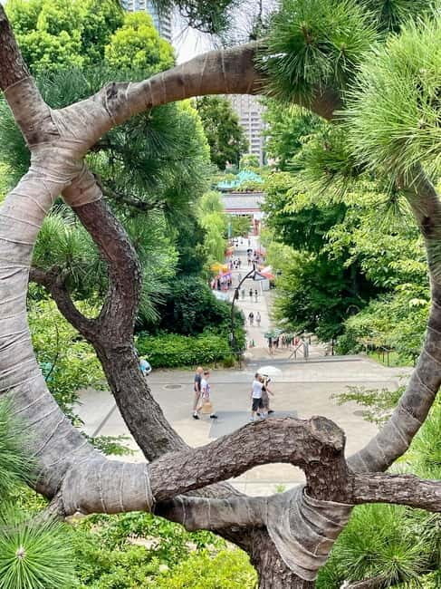 Tokyo: National Museum & Ukiyoe History Private Tour in Ueno - FAQ