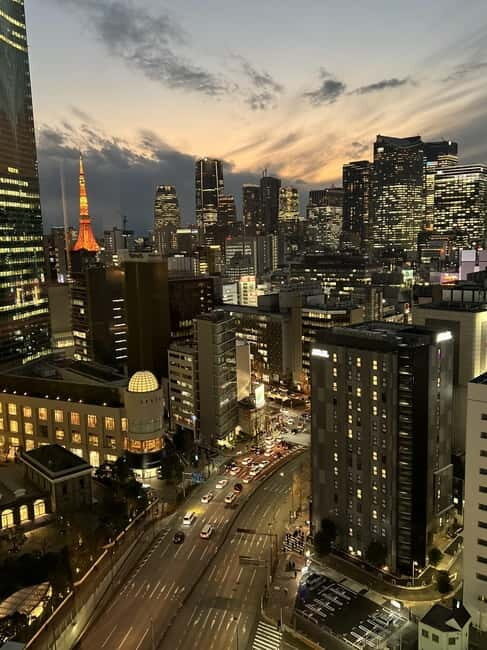 Tokyo Night Tour - A Deep Dive into the Tokyo Night Experience