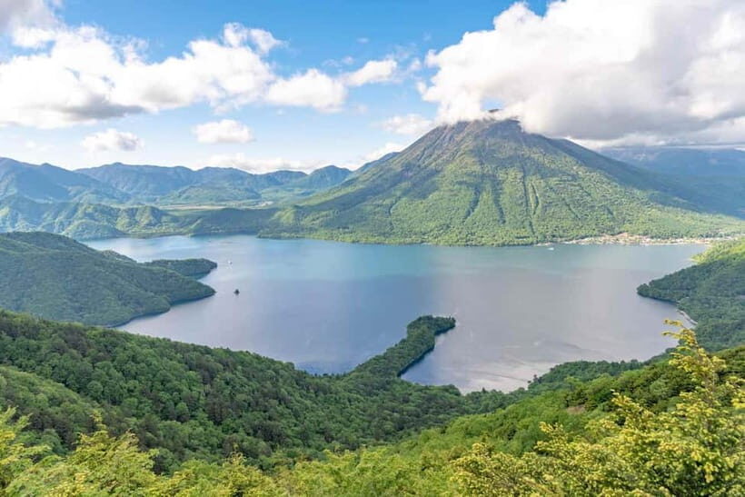 Tokyo : Nikko City Private Luxury Day Tour With Hotel Pickup - Who Will Love This Tour?