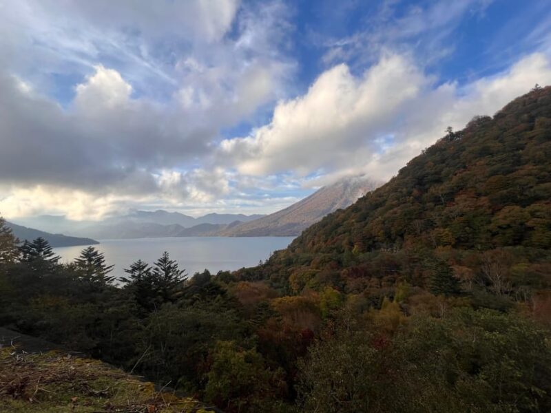 Tokyo: Nikko Day Tour With Private Vehicle and Guide - Key Points