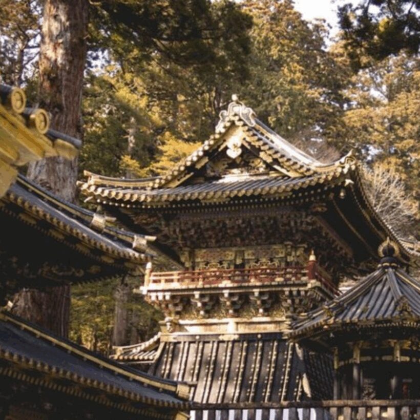 Tokyo: Nikko Kegon Falls Lake Chuzenji Toshogu Temple & More - Who Will Love This Tour?