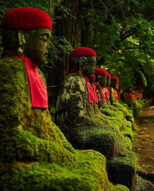 Tokyo: Nikko National Park Private Day Trip With Driver - Important Information