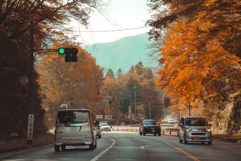 Tokyo: Nikko Private Day Tour with English Speaking Driver - In-Depth: What the Itinerary Looks Like