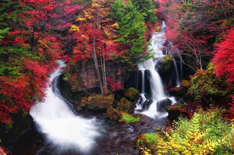 Tokyo: Nikko Private Day Tour With English Speaking Driver - Transportation and Accessibility