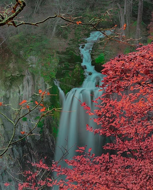 Tokyo: Nikko Private Day Trip With Toshogu Shrine Visit - Key Points