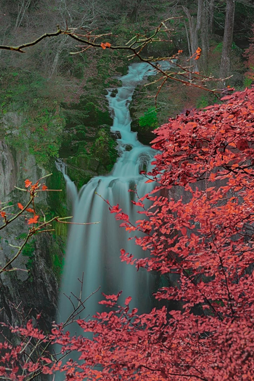 Tokyo: Nikko Private Day Trip With Toshogu Shrine Visit - Itinerary Highlights