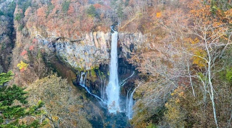 Tokyo: Nikko Private Day Trip With Toshogu Shrine Visit - Transportation and Customization