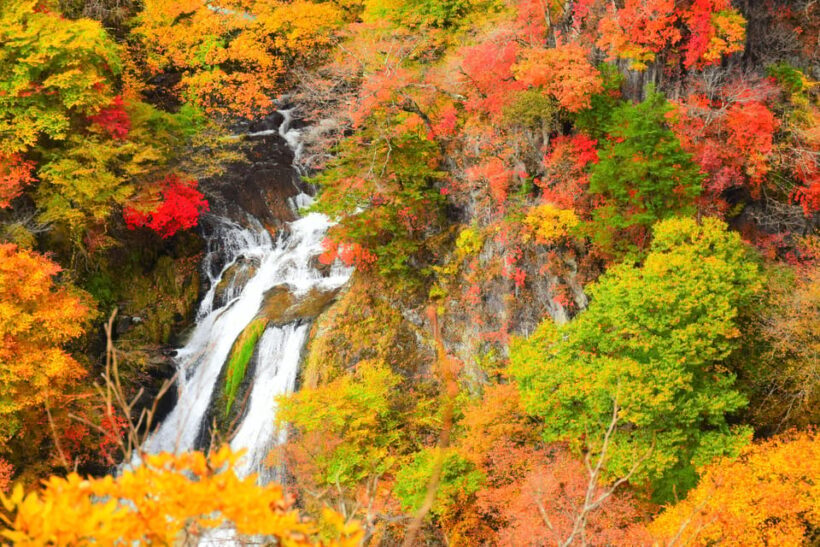 Tokyo: Nikko Private Sightseeing Day Trip with Driver - Final Thoughts