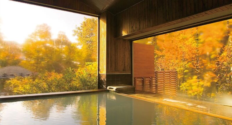 Tokyo: Nikko Toshogu Shrine and Kegon Waterfall Tour - Inclusions and Options