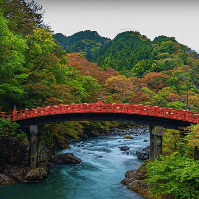 Tokyo: Nikko Unesco World Heritage Unmissable Private Tour - Accessibility and Policies