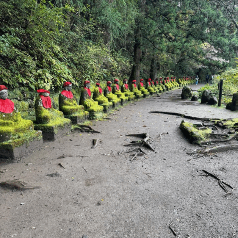 Tokyo: Nikko Unesco World Heritage Unmissable Private Tour - Getting to the Meeting Point