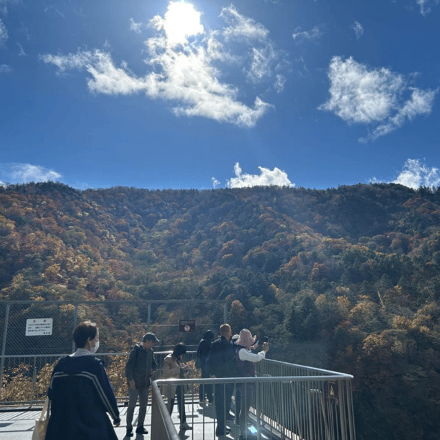 Tokyo: Nikko Unesco World Heritage Unmissable Private Tour - Customer Testimonials