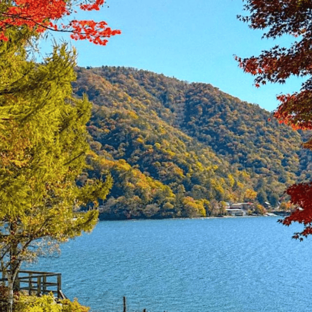 Tokyo: Nikko Unesco World Heritage Unmissable Private Tour - Exploring the Wonders of Nikko