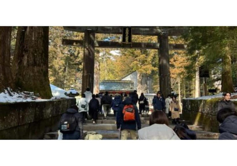 Tokyo: Nikko World Heritage Private Day Trip Hotel Pick-up - An In-Depth Look at the Nikko Private Day Trip