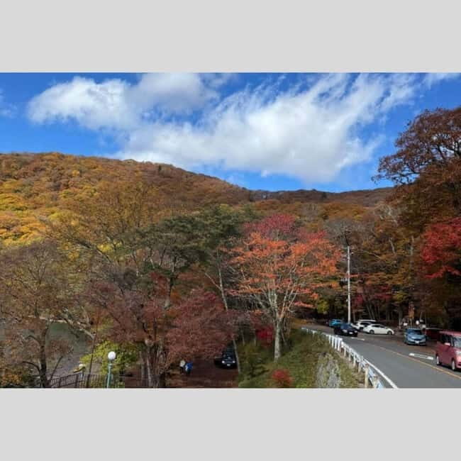 Tokyo: Nikko World Heritage Private Day Trip Hotel Pick-up - FAQs About the Nikko Private Day Trip